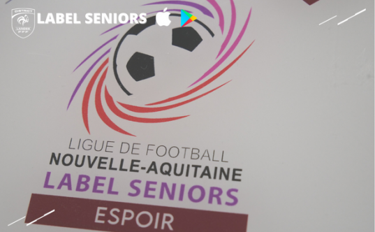 DISTRICT DES LANDES DE FOOTBALL