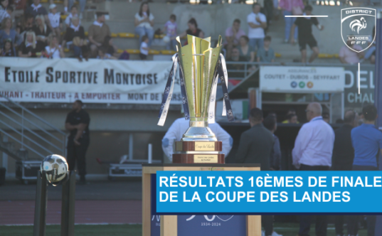 DISTRICT DES LANDES DE FOOTBALL